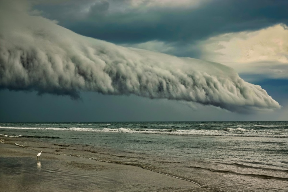 Stormfront - AMS Weather Band