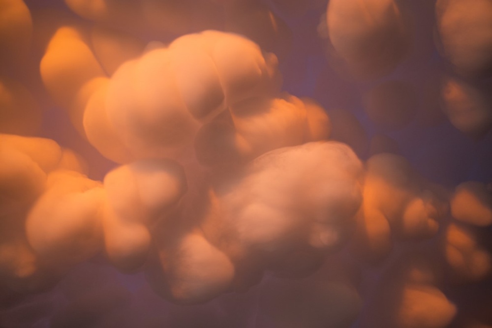 Marshmallatus - AMS Weather Band